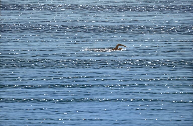 Paul Haggith | Seascape & Landscape Paintings | Gallery One